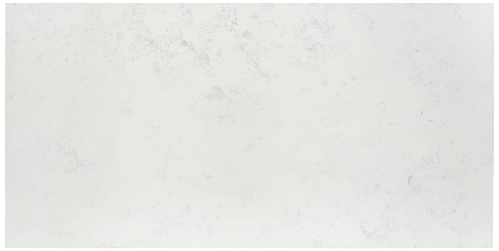 Calacatta Vicenza Matte Q Quartz Kitchen & Bath